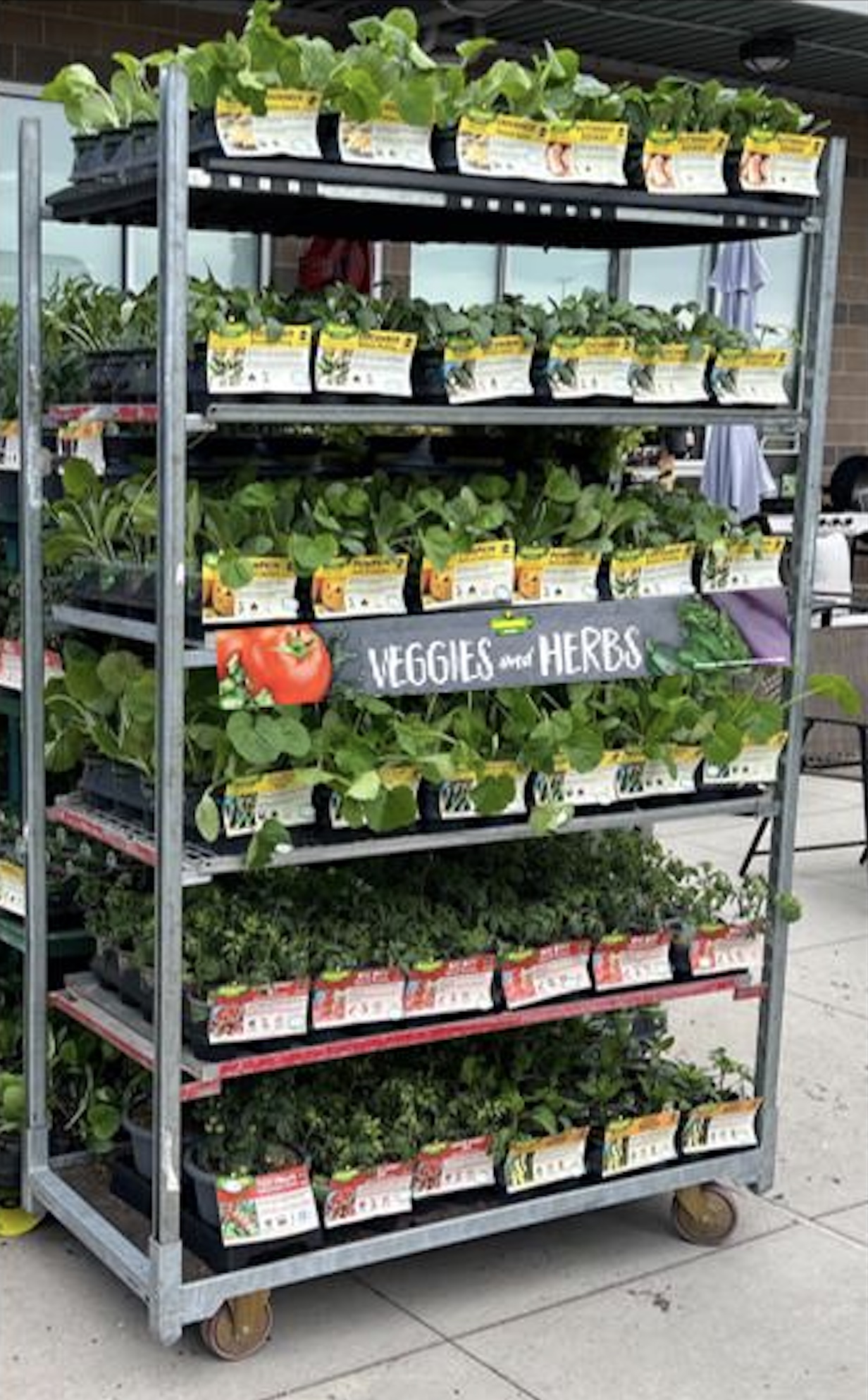 Customer Intake | Bonnie Plants